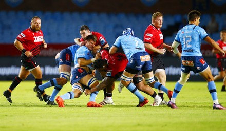 Vodacom Bulls Vs Cardiff Rugby Elrigh Editorial Stock Photo - Stock ...