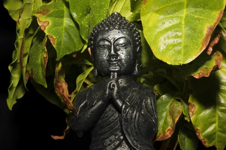 Small Bhuda Figure Sitting Under Young Editorial Stock Photo - Stock ...