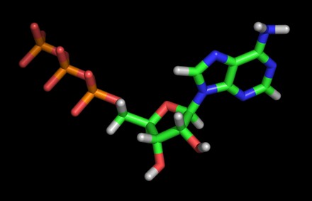 Molecule Adenosine Triphosphate Atp Atp Transports Editorial Stock ...