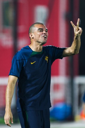 Portugal Player Pepe Attends Training Session Editorial Stock Photo ...