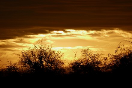 Days Sun Rises On Cold Morning Editorial Stock Photo - Stock Image ...