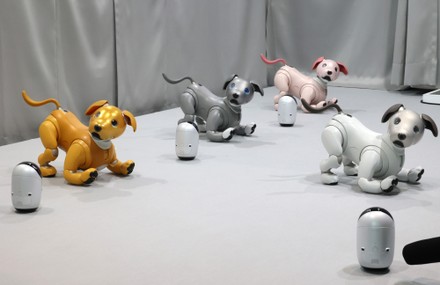 Japanese Electronics Giant Sonys Robot Dog Editorial Stock Photo ...