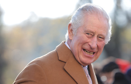 58 King charles waving Stock Pictures, Editorial Images and Stock ...