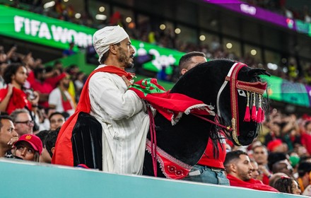 Fan Morocco Moroccan Traditional Dress Horse Editorial Stock Photo ...