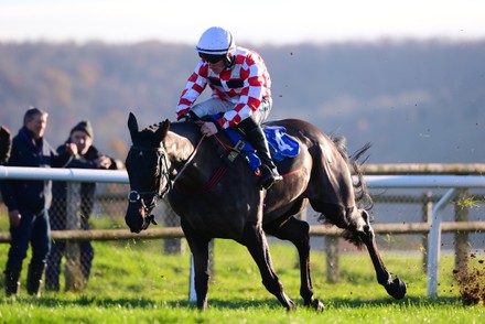 Voice Calm Ridden By Joe Anderson Editorial Stock Photo - Stock Image ...