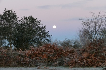 Setting Cold Moon Drops Under Frosty Editorial Stock Photo - Stock ...