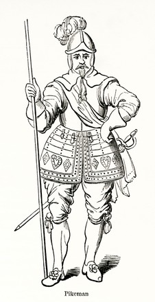 Pikeman 1635 Specimen Goodrich Court Date Editorial Stock Photo - Stock ...