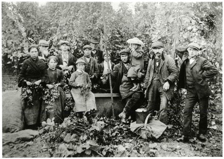 55 Hop pickers Stock Pictures, Editorial Images and Stock Photos ...