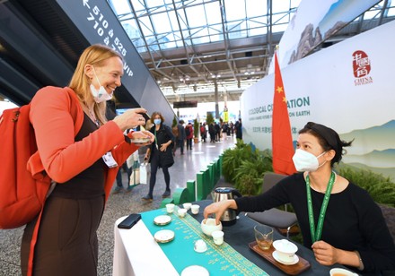 Attendee Tastes Chinese Tea China Pavilion Editorial Stock Photo ...