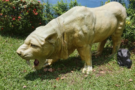Model Smilodon Saber Toothed Tiger Dinosaur Editorial Stock Photo ...