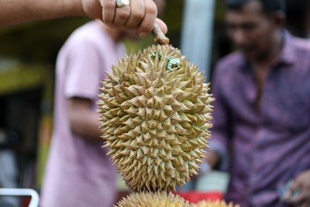 Vendor Displays Vegetable Sale Traditional Market Editorial Stock Photo ...