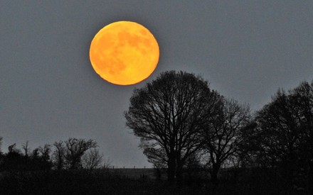Golden Moon Rises Over Tree Topped Editorial Stock Photo - Stock Image ...