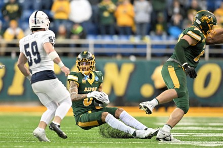 North Dakota State Bison Wide Receiver Editorial Stock Photo - Stock ...