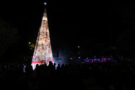Ostuni Brindisi Cronaca Nella Foto Lx2019albero Editorial Stock Photo ...