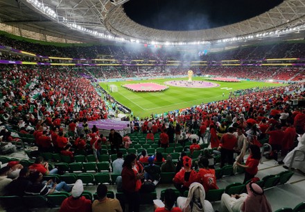 Fans Cheer Stadium During Morocco Vs Editorial Stock Photo - Stock ...