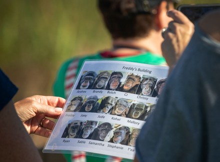 Visitors Save Chimps Sanctuary Observe Chimps Editorial Stock Photo ...