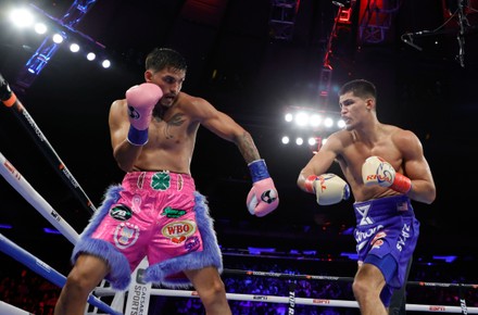 __COUNT__ Xander Zayas and Alexis Salazar boxing match, New York, USA ...