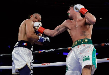 Irish Boxer Joe Ward R Action Editorial Stock Photo - Stock Image ...