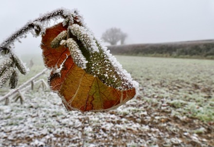 71 Frost particles Stock Pictures, Editorial Images and Stock Photos ...