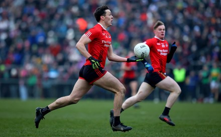 Fossa Vs Kilmurry Fossas David Clifford Editorial Stock Photo - Stock ...
