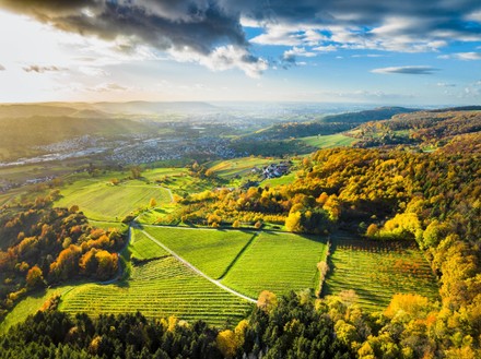 1,000 Autumn flight Stock Pictures, Editorial Images and Stock Photos ...