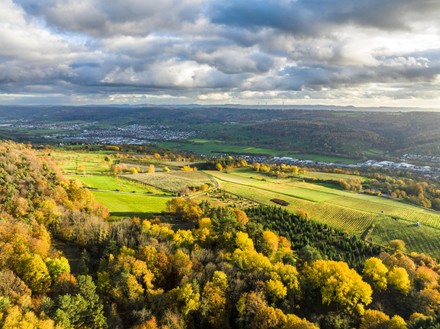 1,000 Autumn flight Stock Pictures, Editorial Images and Stock Photos ...
