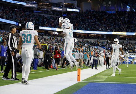 Miami Dolphins Wide Receiver Tyreek Hill Editorial Stock Photo - Stock ...