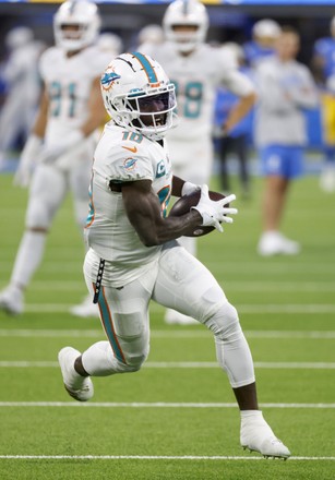 Miami Dolphins Wide Receiver Tyreek Hill Editorial Stock Photo - Stock ...