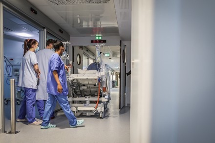 Nurses Work New Premises Neuroresuscitation Department Editorial Stock ...
