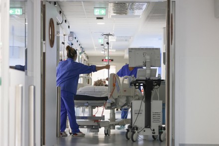 Nurses Work New Premises Neuroresuscitation Department Editorial Stock ...