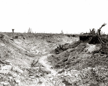 24 Battle devastation first world war Stock Pictures, Editorial Images ...