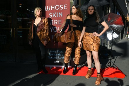 Peta Members Wear Clothing That Resembles Editorial Stock Photo - Stock ...