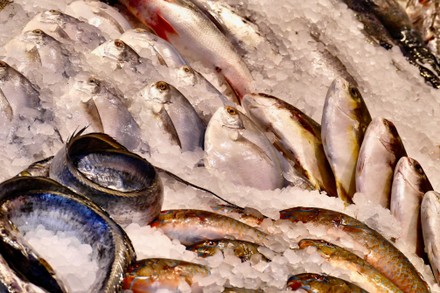Variety Fresh Fish Packed Ice Sale Editorial Stock Photo - Stock Image ...