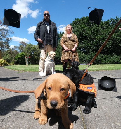 Participants Gather Guide Dogs Victoria Graduation Editorial Stock ...