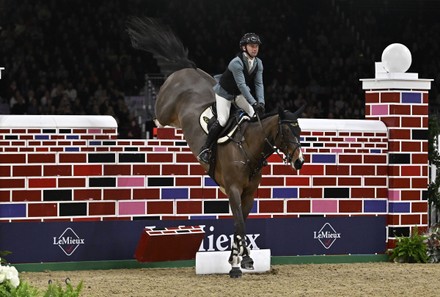 Richard Howley Irl Riding Hollypark Pacino Editorial Stock Photo ...