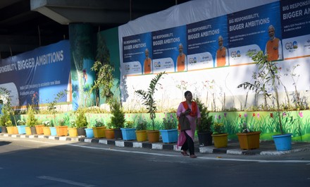 Plants Arranged Flower Pots Under Beautification Editorial Stock Photo ...