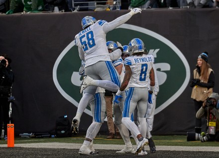 Detroit Lions Tight End Brock Wright Editorial Stock Photo - Stock ...