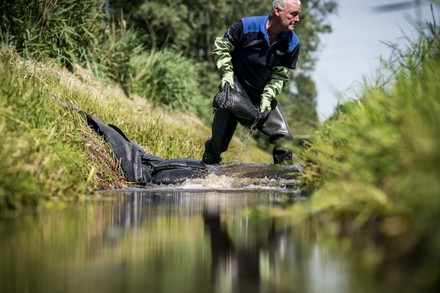 20220518 130145 Meijel Sandbags Used Form Editorial Stock Photo - Stock ...