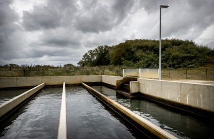 8 Thin waterworks Stock Pictures, Editorial Images and Stock Photos ...