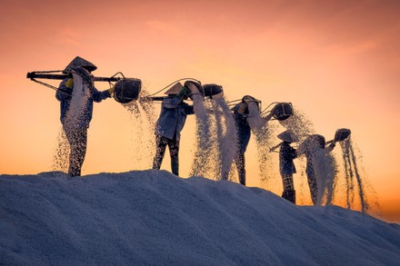 Colourful Process Salt Harvesting Captured Hon Editorial Stock Photo ...