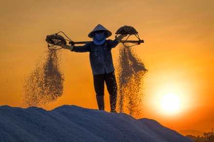 Colourful Process Salt Harvesting Captured Hon Editorial Stock Photo ...