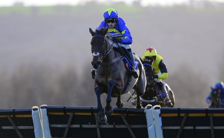 Race Winner Lallygag Ridden By Freddie Editorial Stock Photo - Stock ...