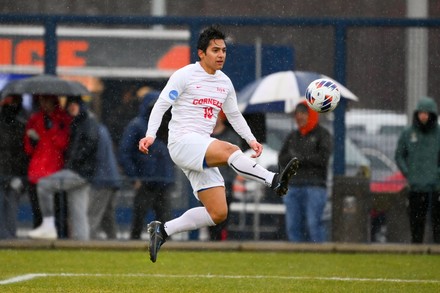 Cornell Big Red Forward Brandon Morales Editorial Stock Photo - Stock ...