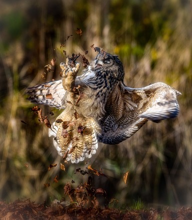 250 imágenes de Kicking down - Imágenes de stock, imágenes editoriales ...