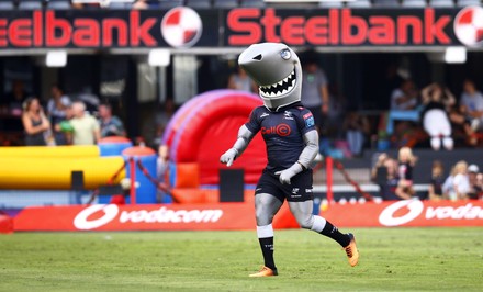Cell C Sharks Vs Emirates Lions Editorial Stock Photo - Stock Image ...
