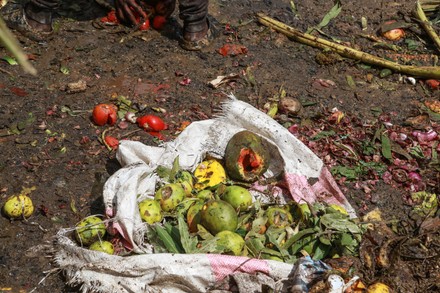 Spoilt Fruits Vegetables Laying On Ground Editorial Stock Photo - Stock ...
