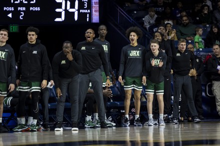 Jacksonville Bench Reacts During Ncaa Basketball Editorial Stock Photo ...