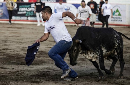 Man Runs Away Bull During Bullfighting Editorial Stock Photo - Stock ...