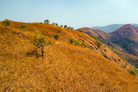 Hills Forests On Akwapimtogo Ranges Wli Editorial Stock Photo - Stock ...