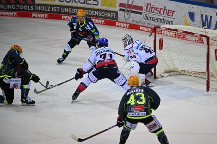 Dominik Uher Fischtown Pinguins 26 Left Editorial Stock Photo - Stock ...